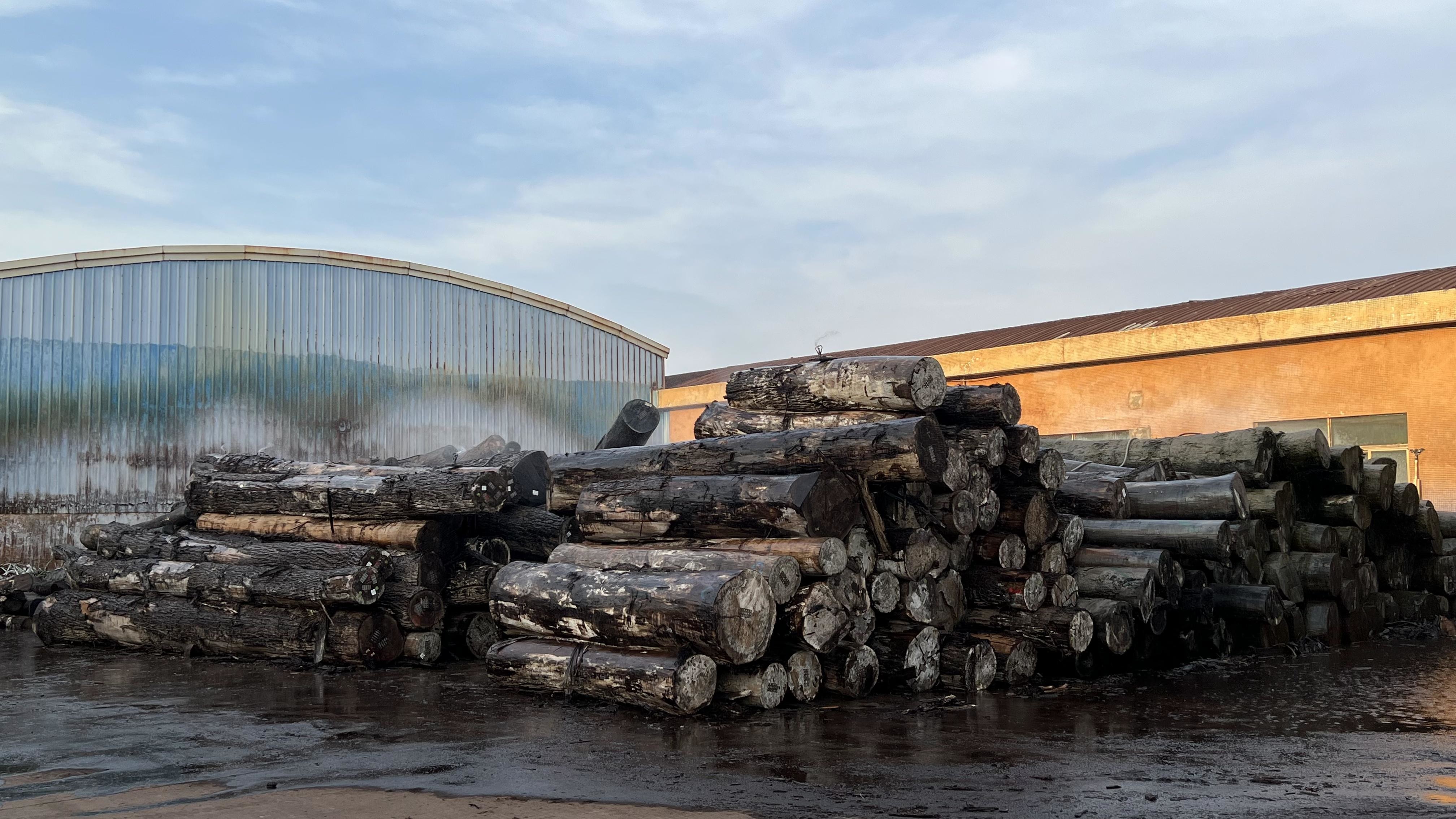 Làm thế nào để làm veneer gỗ tự nhiên bởi Lingfeng